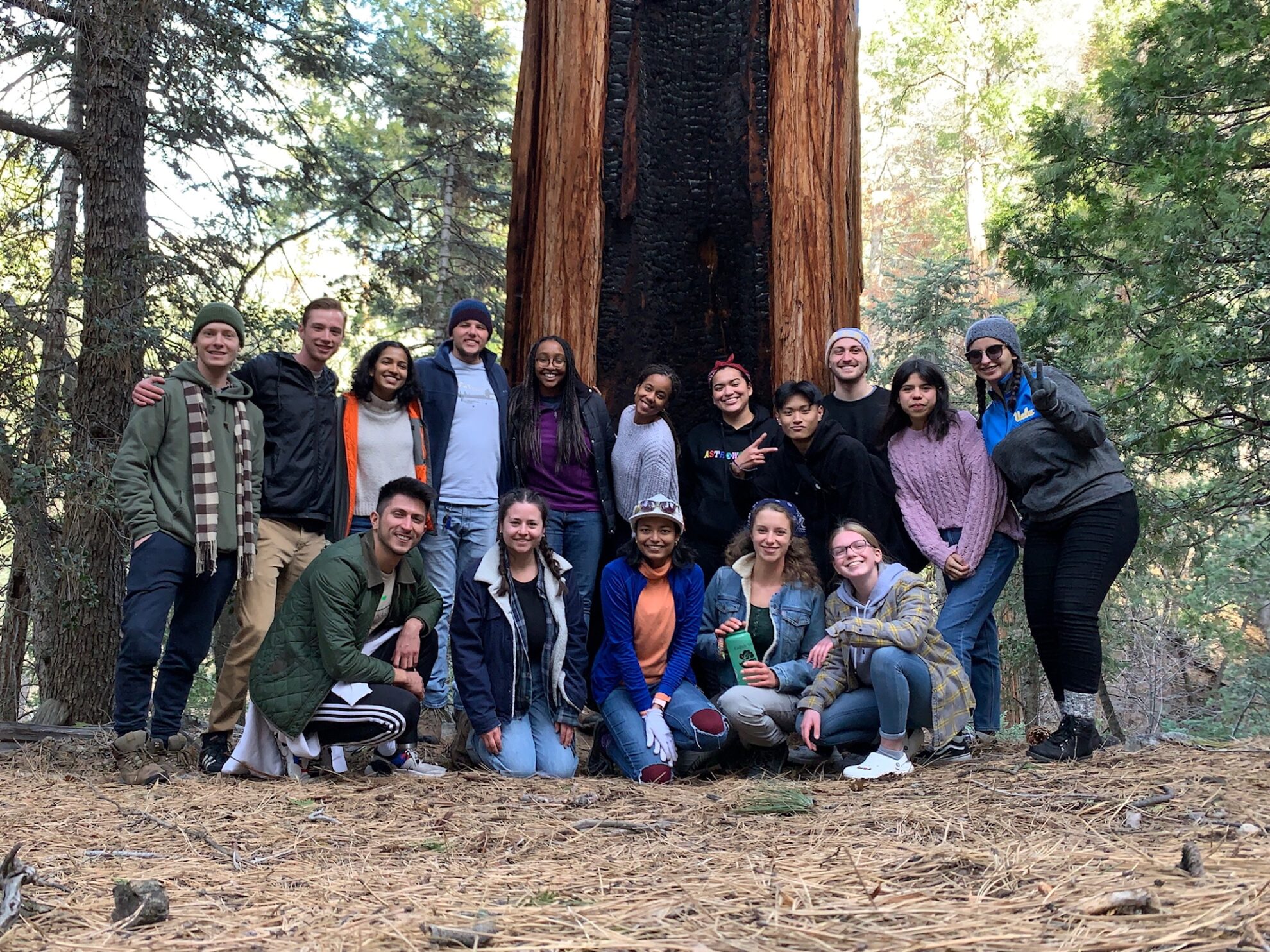 Equity, Diversity, and Inclusion in Sustainability | UCLA Sustainability