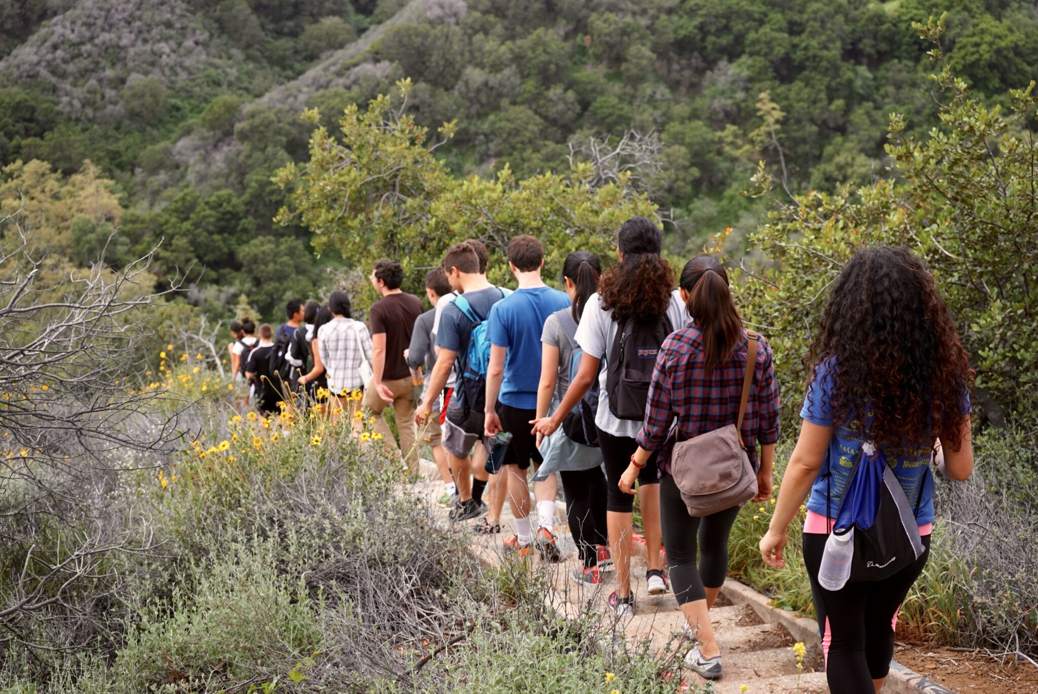 Academics and Research | UCLA Sustainability